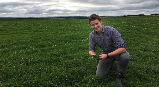 Rural & Farm Supplies | PGG Wrightson